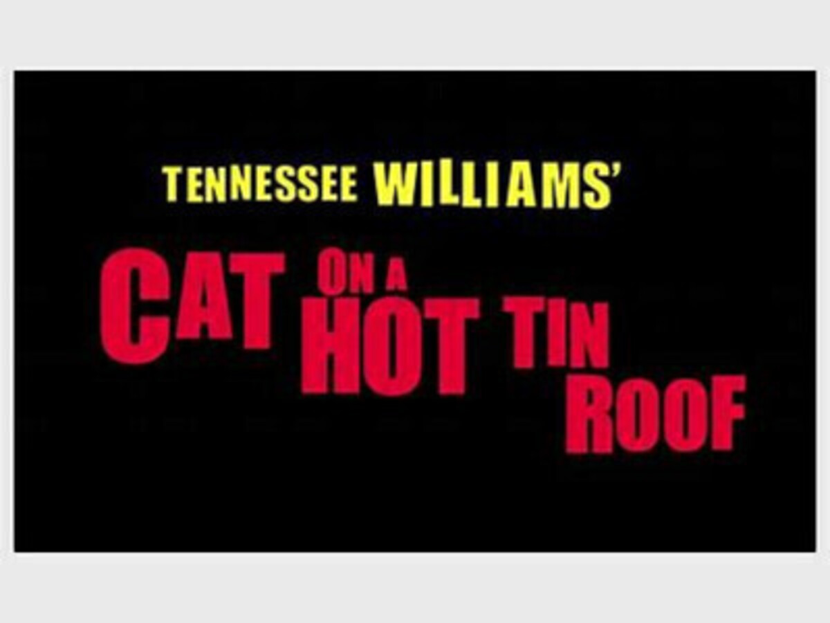 Cat On A Hot Tin Roof | Morristown Minute
