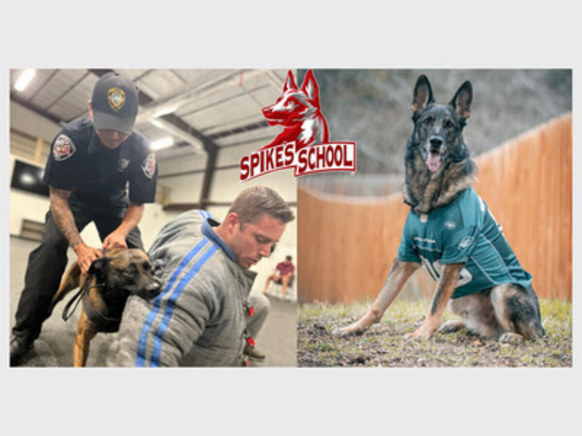 Spike's School Decoy Training for K9 Teams at New York Jets Facility ...